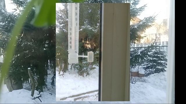 мороз Иванович, 2026 году.