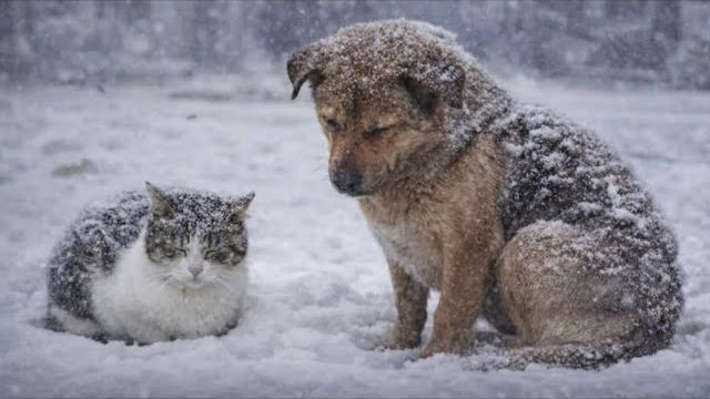 ТВОРИ ДОБРО...!