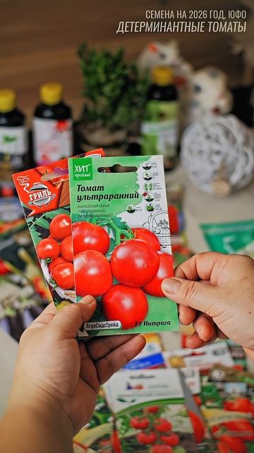 Эти 8 детерминантных томатов обязательно посадим в 2026 #огород #дача #томаты #семена #garden #сад