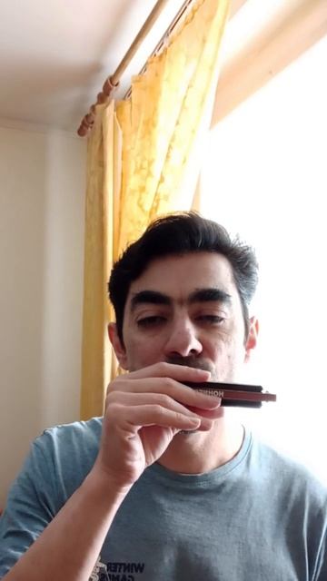 Французский аккордеон на губной гармошке #stratocastro