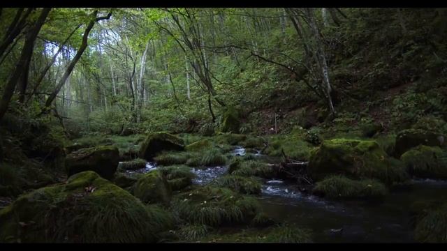 ♬радио •Бриз FM• - •ASMR Ручей•