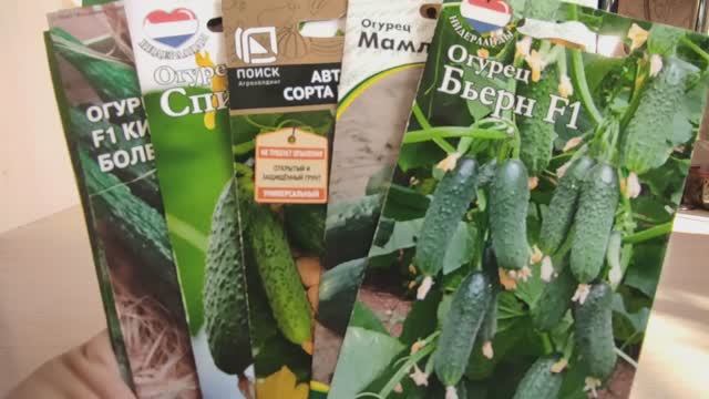 БОЛЬШОЙ ОБЗОР СЕМЯН ОГУРЦОВ. НОВИНКИ и ФАВОРИТЫ #огурцы#урожай #огород #новинки #чтопосеять #семена