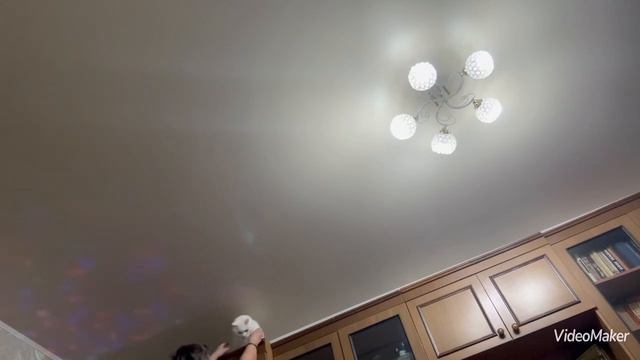 новые приключения Мальчика, придумывает себе развлечения