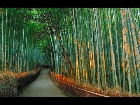 НАРКОМАНКА РЕСПУБЛИКА ИНФОРМАЦИЯ