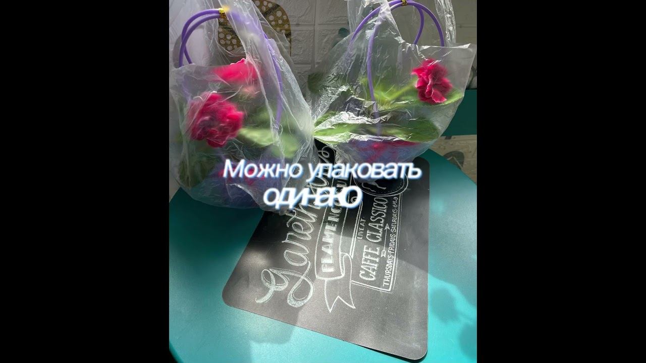Мои глоксинии + Акция  #balconygarden #саднабалконе #цветы