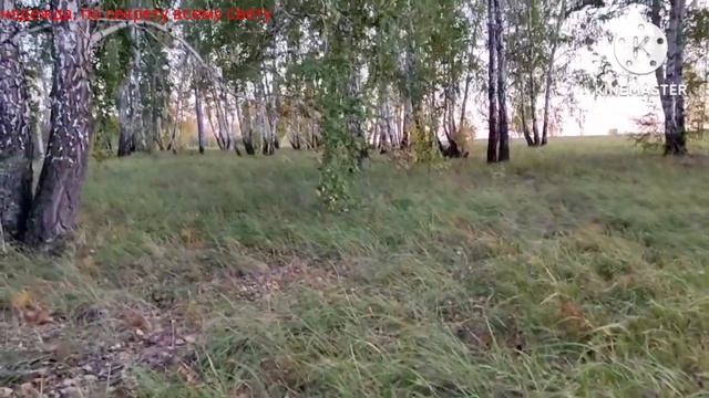 РОССИЯ! МОЙ КРАЙ ЛЮБИМЫЙ!