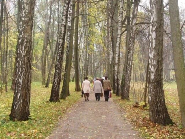 Поездка в Спасское Лутовиново. 2007.10.13