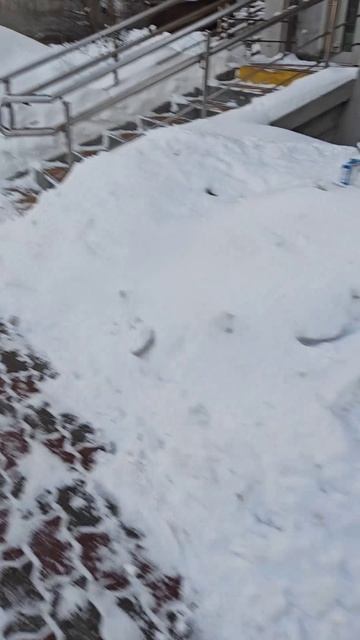 Недорубова 7