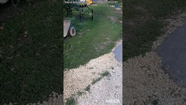 Дом и двор.Сборник интересных моментов на эту тему.Фильм11.Серия3