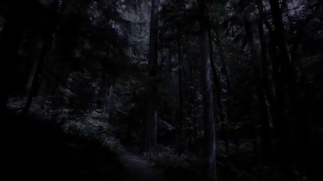 Прогулка по лесу... Эмбиент...