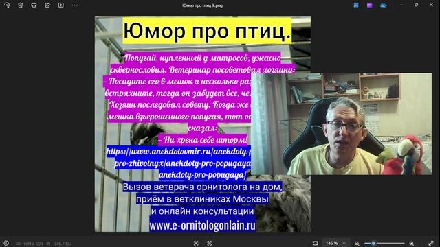 Юмор про птиц 9.