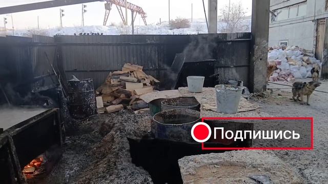 КОМУ МЫ ПЛАТИМ ЗП В ПРИЮТЕ