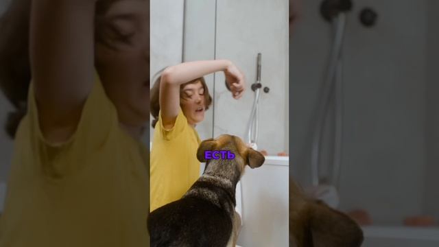 Безопасное использование электроприборов