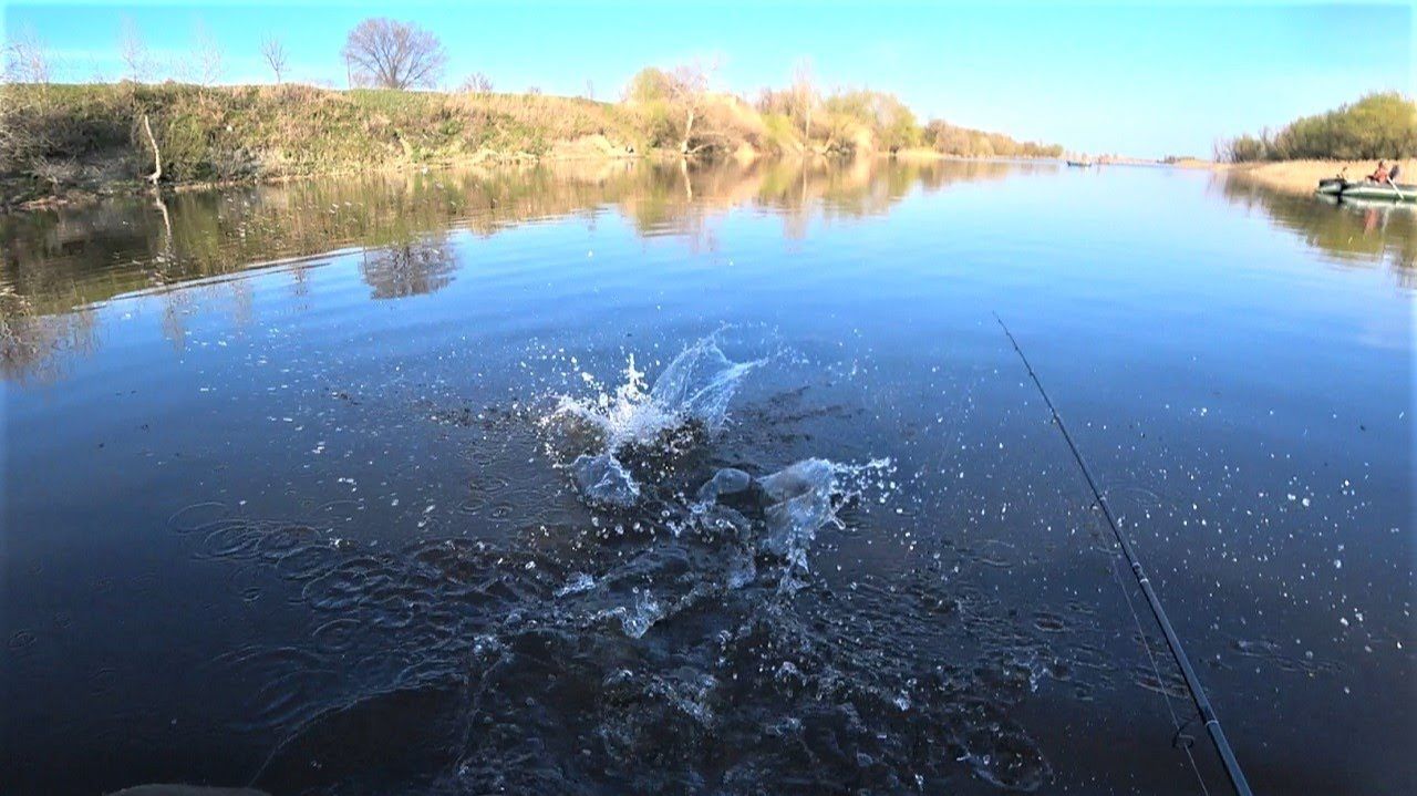 РЫБЫ ТОННЫ - ВОДА БУРЛИТ!!!! ЛУПИТ на КАЖДЫЙ ЗАБРОС рыбалка на спиннинг на судака