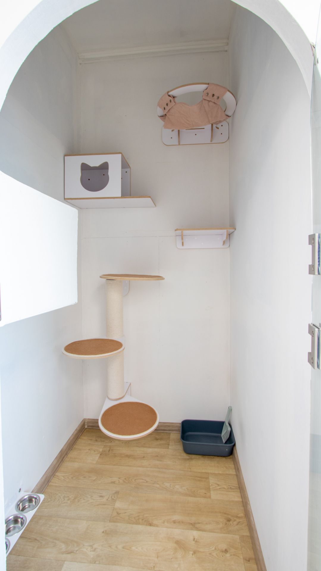 видео номер люкс в зооотеле Cat's room Happy