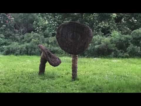 Сады и Парки. Аптекарский огород.