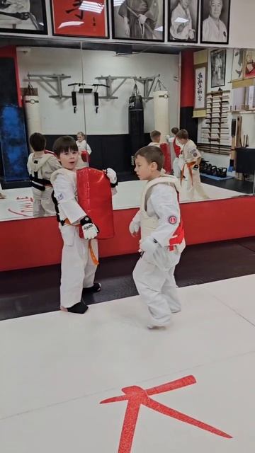 Сенсей - Чебан Артур Георгиевич, 3 дан.