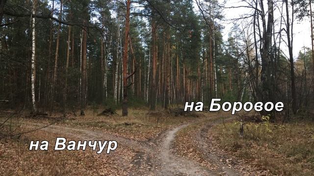 Октябрь в селе Берёзово Шиловский р-н Ряз.обл. 2020г.