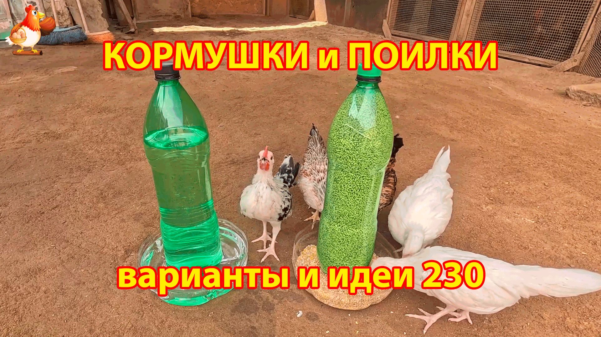 Кормушки и поилки для кур своими руками 230 🪚✂️ Пошаговая инструкция как сделать 🐔 🐓❣️