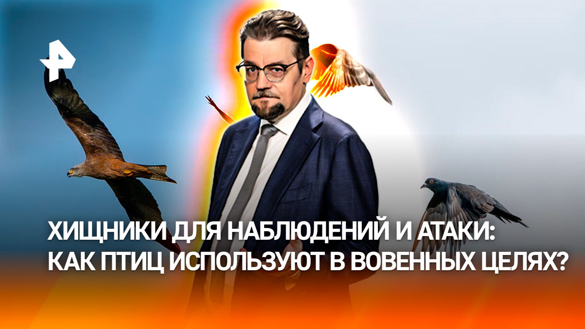 Голубь-подрывник, гусь-сторож и коршун-антидрон: птицы стали оружием военных / ДОБРОВЭФИРЕ