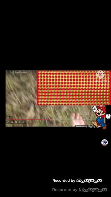 Dog attacked by the HowToBasic, Mario🤣🤣🤣🤣🤣🤣🤣🤣🤣🤣🤣