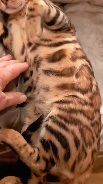 PXL_20260131_050134951~4