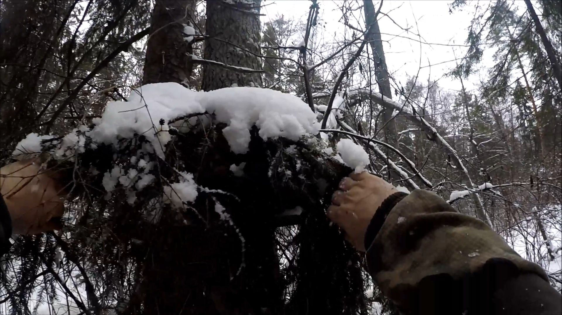 Охота на куницу. Снял один крайний капкан, попалась куничка(Будни охотника и рыбака)