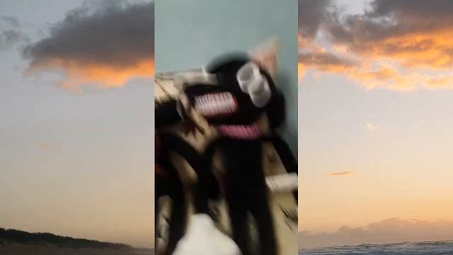 Картун дог и Сиреноголовый танцуют под рэп хаски Бандита.