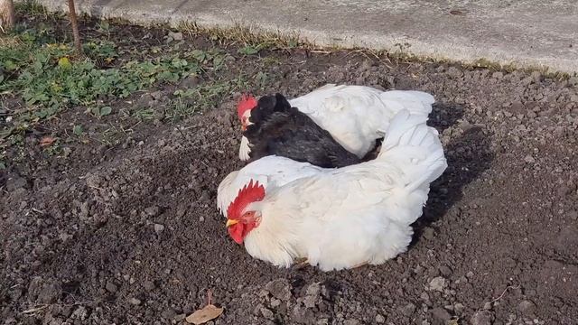 EGOIST /Топ 3 наших расходов.