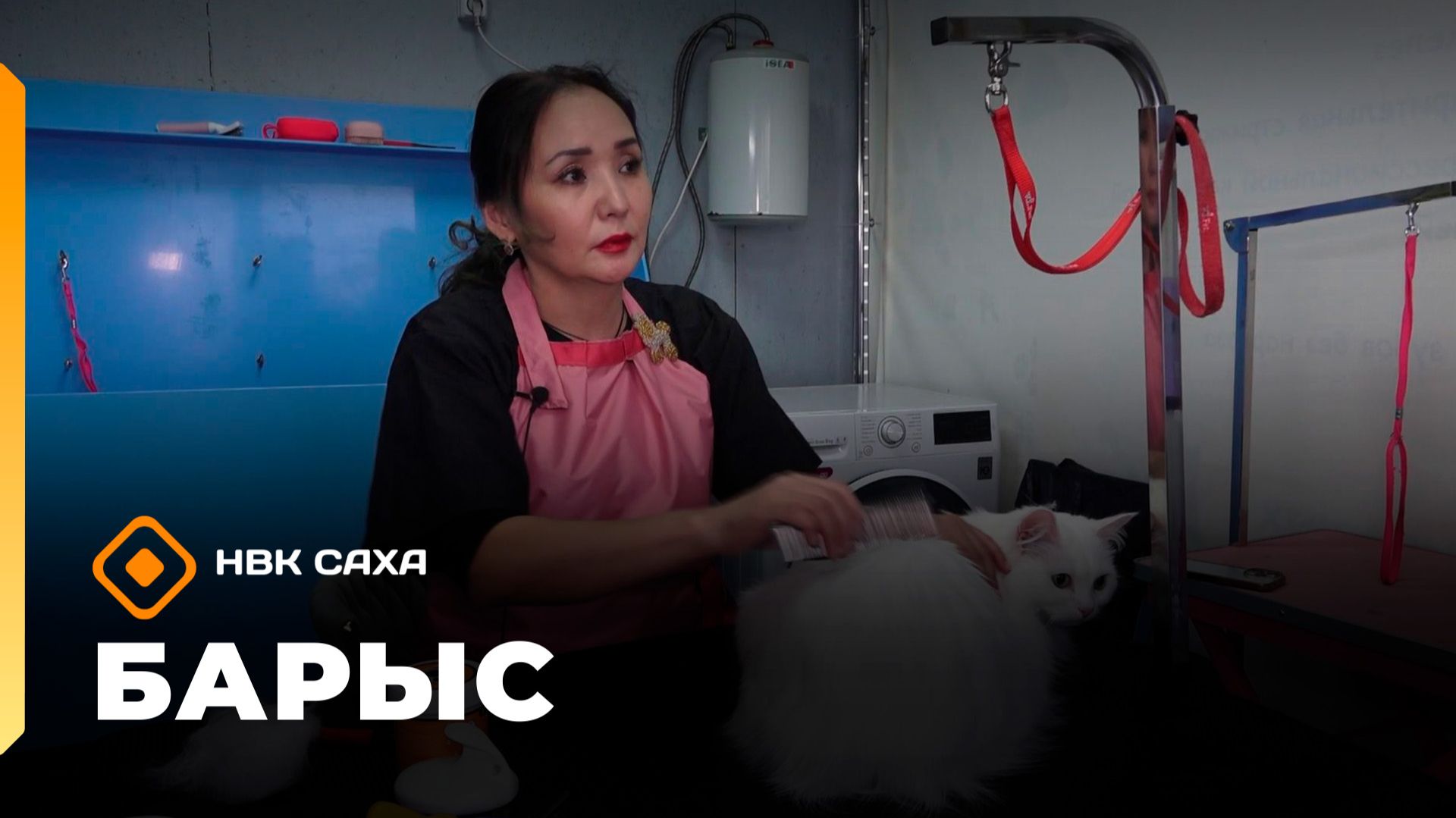 «Барыс»  (02.02.26)