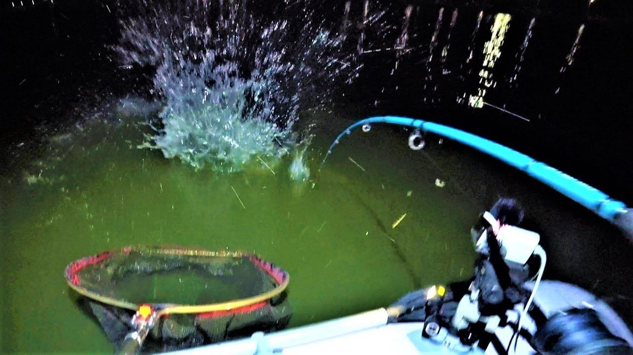 КРУПНЫЙ САЗАН, СОМ просто на червя!! Брызги и треск фрикциона рыбалка на реке