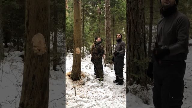 Аптечка точка ком