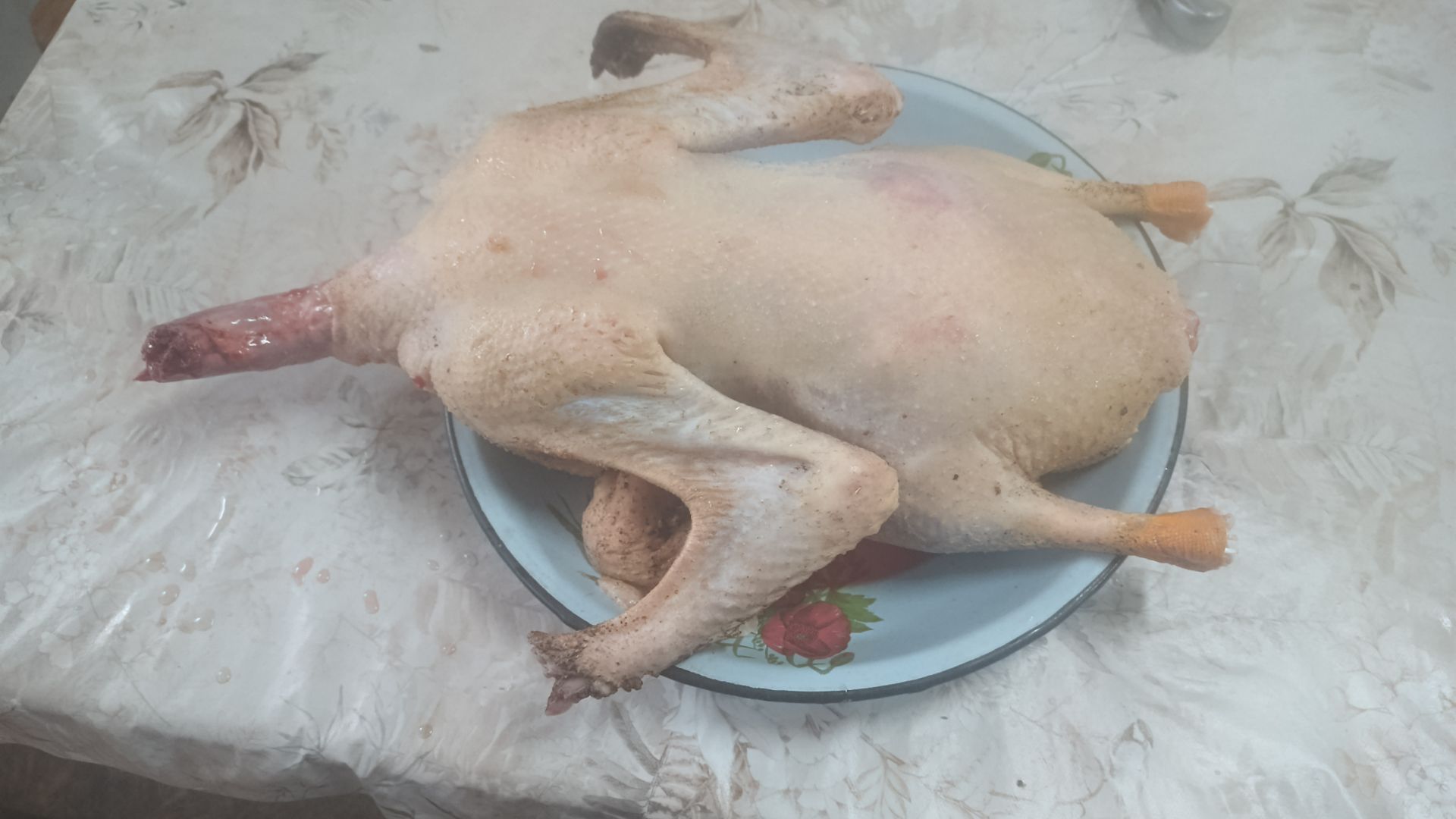 Как мы щиплем гусей, утюгом и электропинцетом без применения дорогого оборудования.