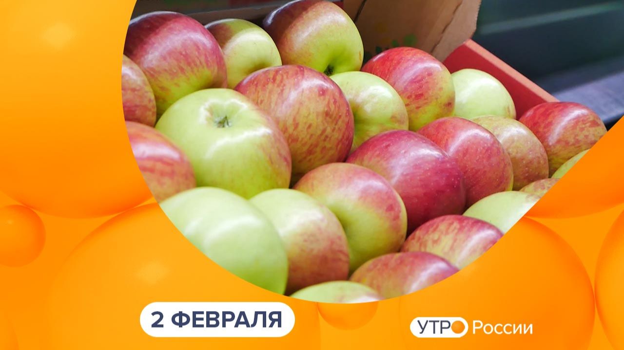 Утро России. Калуга (02.02.2026)