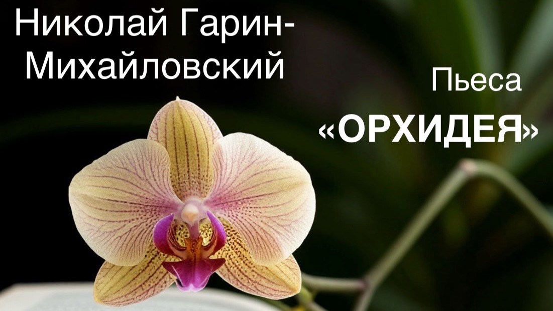 ПЬЕСА. Николай Гарин-Михайловский "Орхидея".