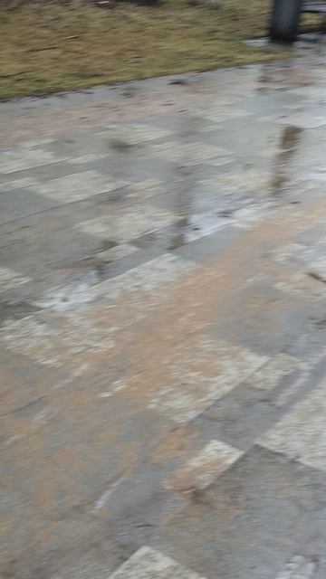 №1126 Комсомольский проспект. 25 ноября 2025 г., 14:47:38 VID_20251125_144648283