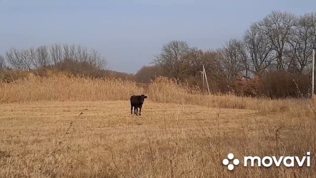 Андреевский парк. ТЦ Красная площадь