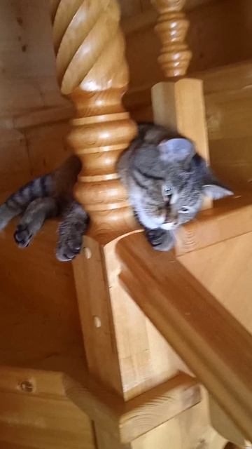 Какая теснота кругом!