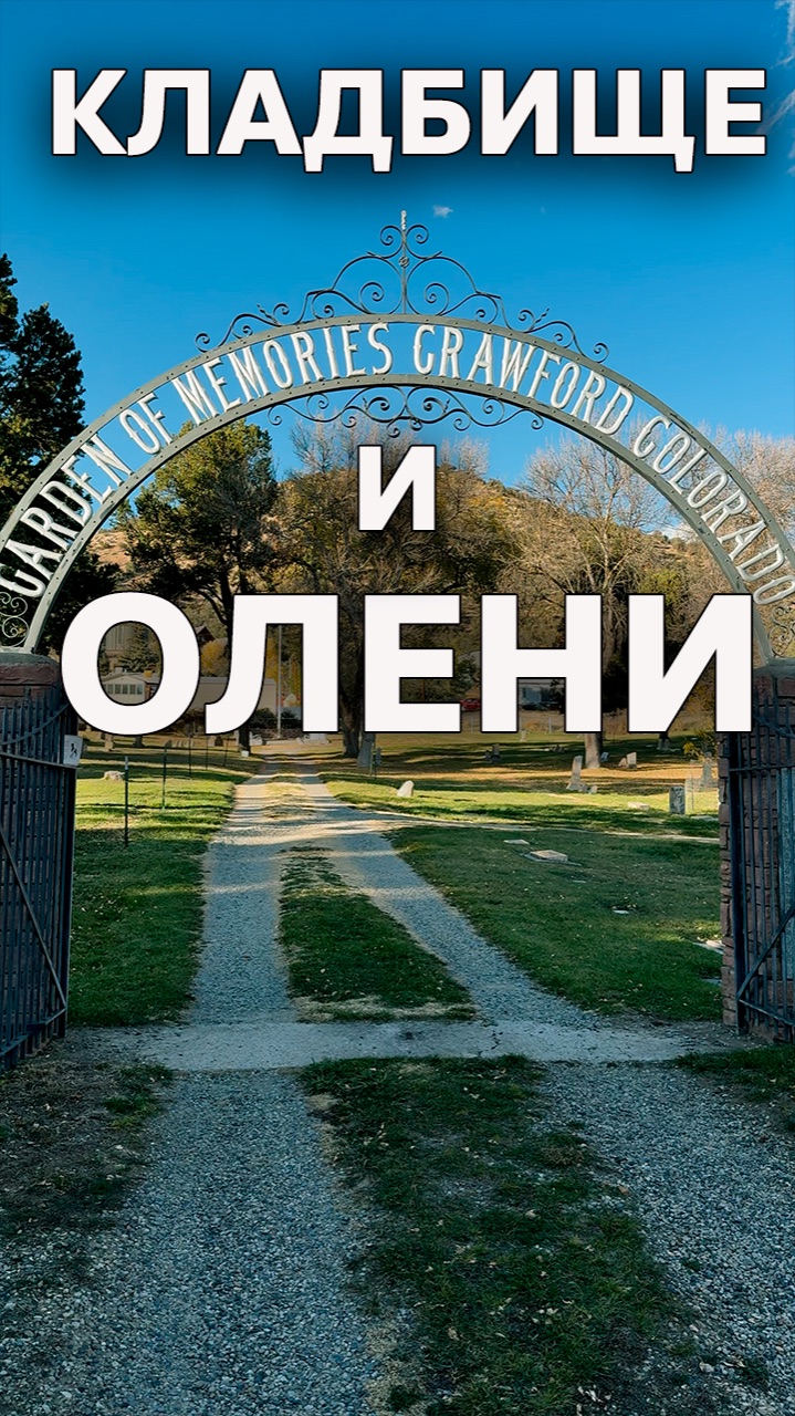 Прогоняем оленей с кладбища #США