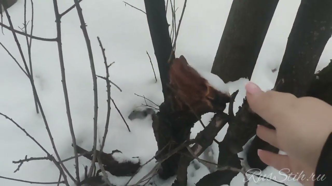 С каждым словом - пропасть больше