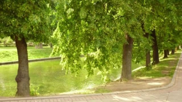 "На заре ты ее не буди" исп Санько Леонид