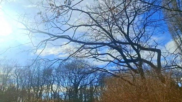 Ессентуки Курортный парк 01.02.26