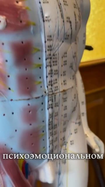 Приглашаю на 1 ступень Кинезиоцигун ☯️