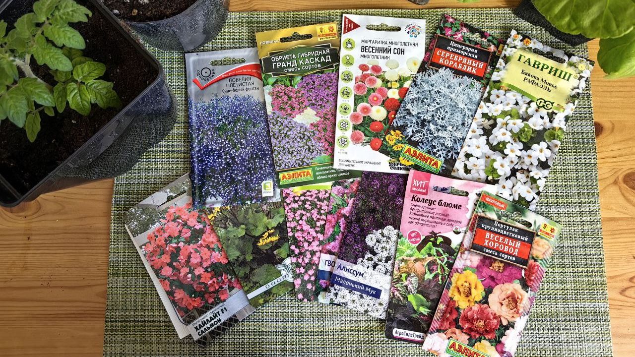 Обзор Семян Цветов Что Буду Сеять в Феврале 2026