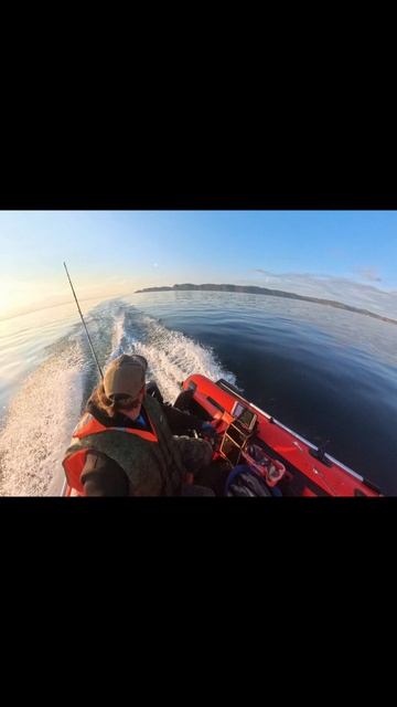 Берег Териберки