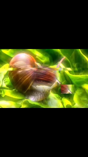 Не заходи это не эдит!!!