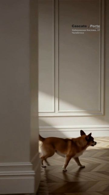 Новая коллекция дверей Neo Cascate Porte