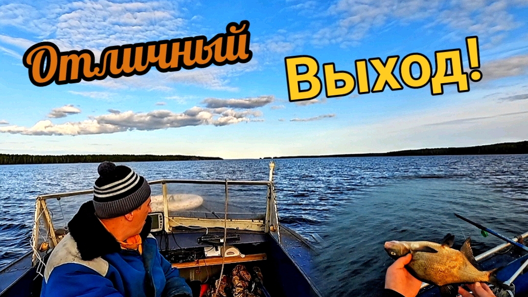 Летние зарисовки о рыбалке.