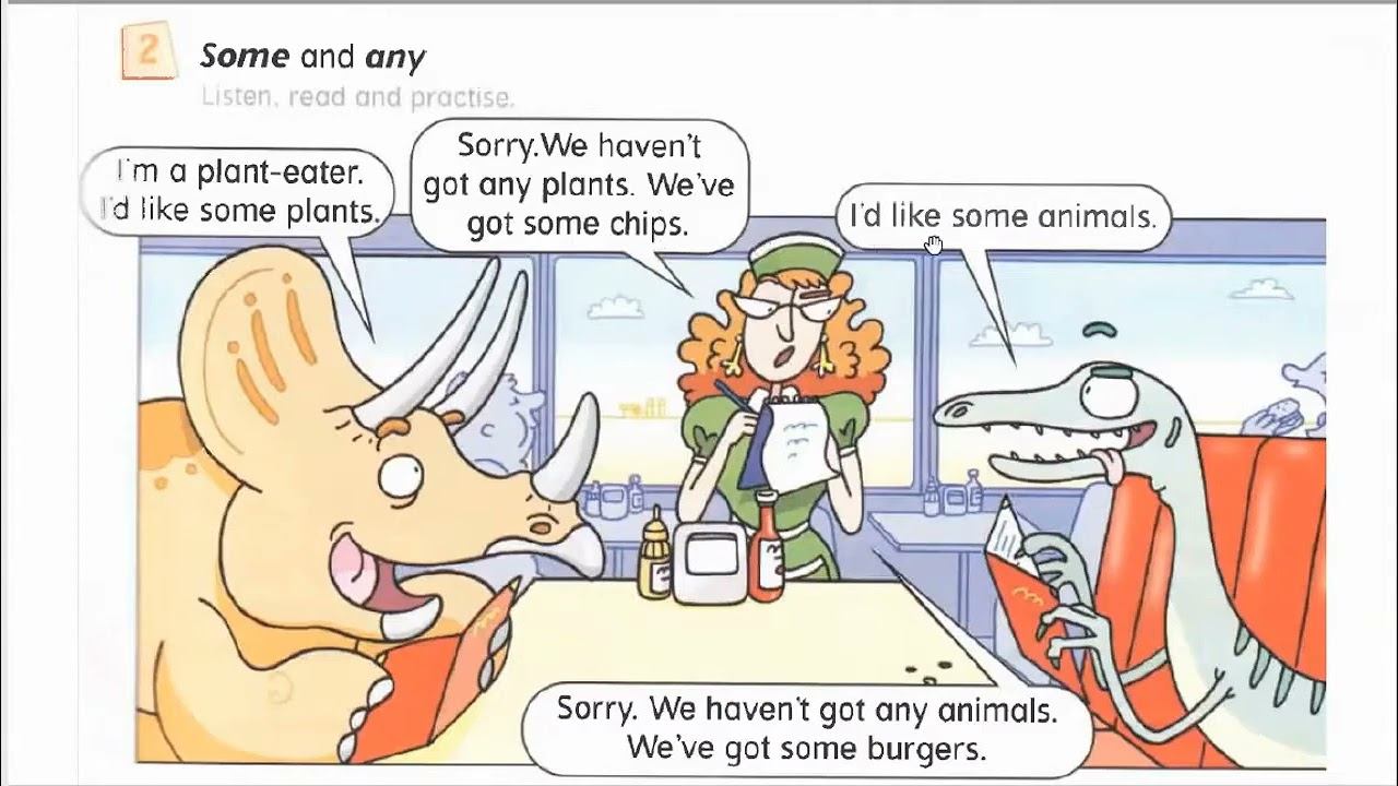 Pearson Excellent 2 Unit 13 Some, any