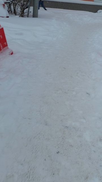 №1168 ул. Белинского. 15 декабря 2025 г., 15:40:19 VID_20251215_153939829